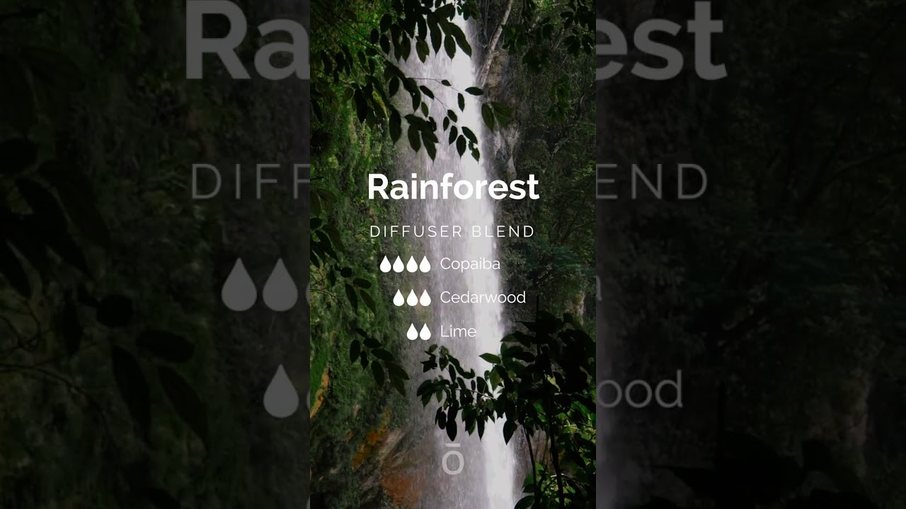 Slow Down in the Rainforest #doterra #essentialoils #diffuserblends