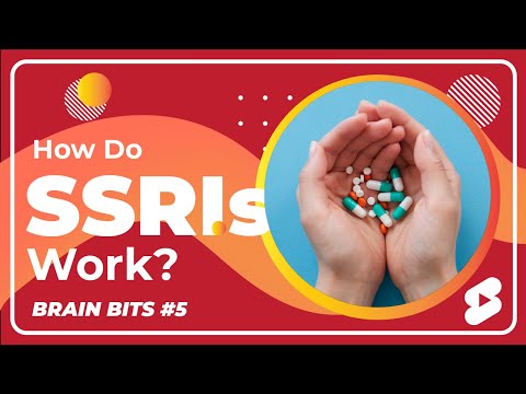 The Neuroscience of How Antidepressants Work - Brain Bits (Prozac, Zoloft, celexa, lexapro, paxil)