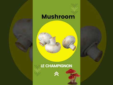 How to say Mushroom in French. Le champignon #shorts #ytshorts #trending #french #viral #mushroom