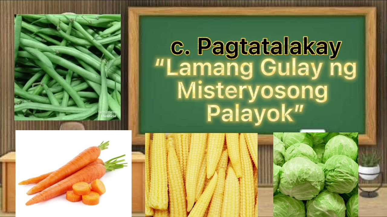 LP-Presentation in EPP