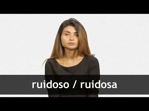 English Translation of “RUIDOSO” | Collins Spanish-English Dictionary