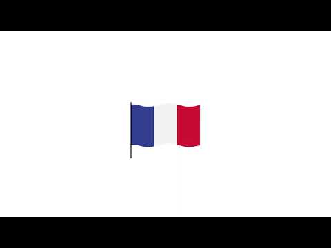 France flag Lottie JSON animation