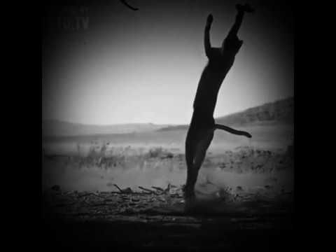 Awesome gif
