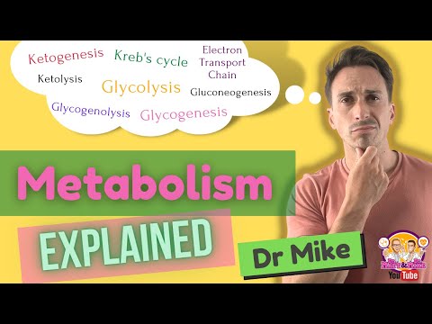 Metabolism Overview