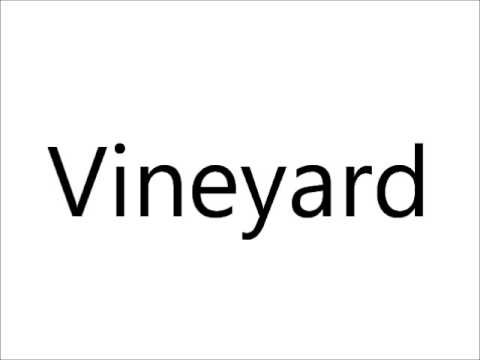 How to Pronounce Vineyard