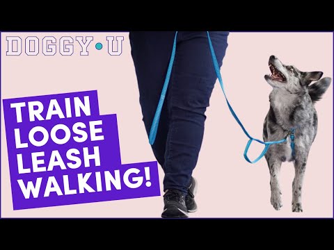 Loose Leash Walking Training: Figure 8 Walking Exercise (Heeling Pattern Games, Part 2)