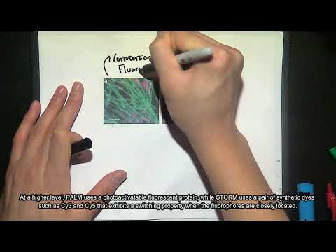 Minute Biophysics - Super-resolution microscopy w/ STORM & PALM - Zhanda