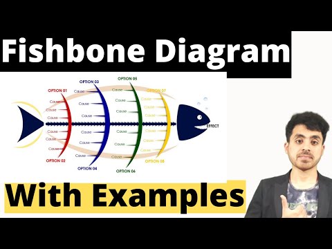 Fishbone Diagram Full Explained With Example | Total Quality Management Tool