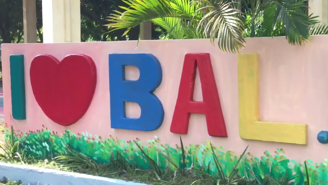 My Reflection in Work Immersion