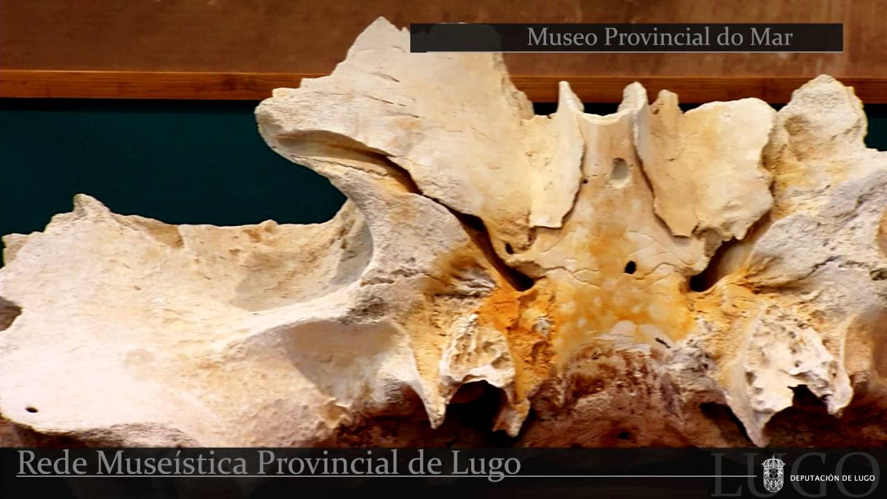 Promocional: Rede Museística Provincial de Lugo