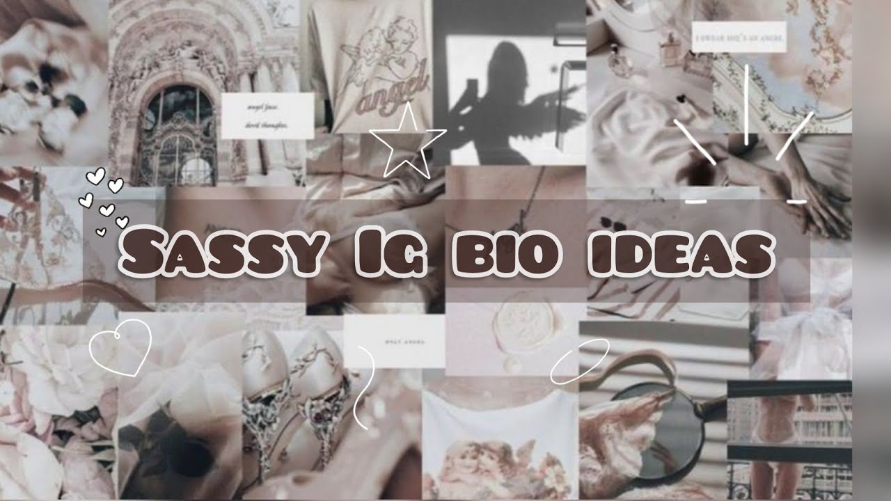 Sassy Instagram Bio Ideas For Stalker Bitches.