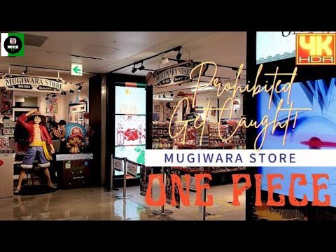 ONE PIECE | MUGIWARA STORE | ANIME | MANGA | JAPAN WALK | 4K @NOYJITV