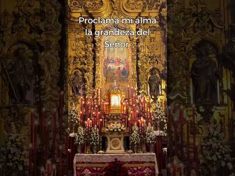 PROCLAMA MI ALMA TU GRANDEZA SEÑOR #shorts