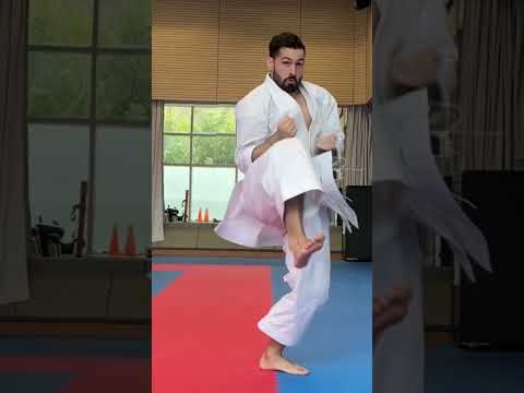 Week 3 🇭🇰 #karate #cobrakai #kata #olympian #training #martialarts #asmr