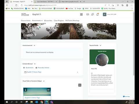 Brightspace: See Quizzes or Assignments