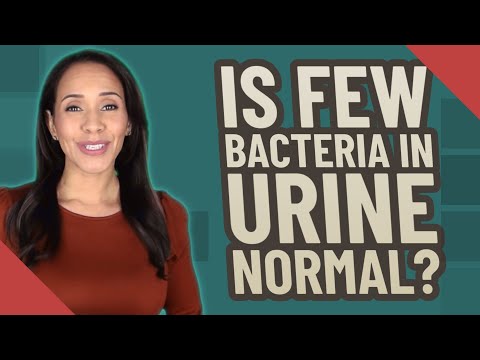 Is few bacteria in urine normal?