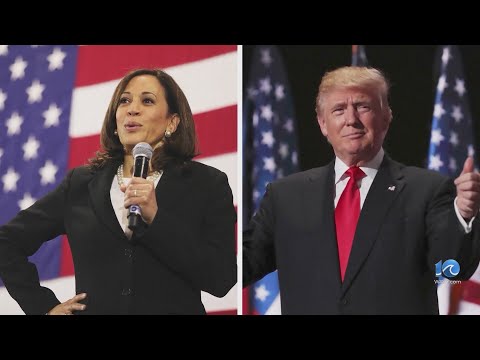What political analysts expect at presidential debate