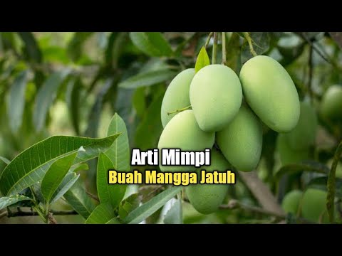 Arti Mimpi Buah Mangga Jatuh