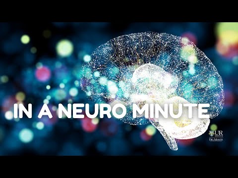 S3 E1: How do your brain and hands work together?