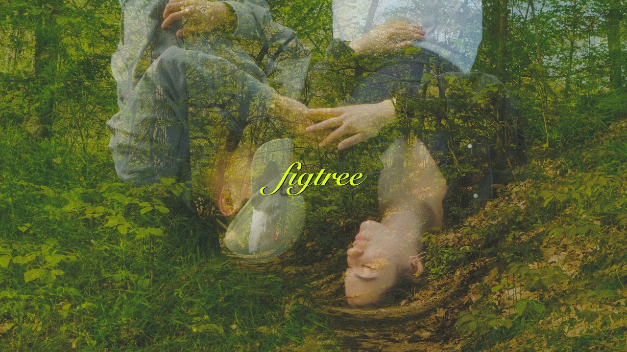 Bell Jar - Fig Tree by Sylvia Plath (Editorial)