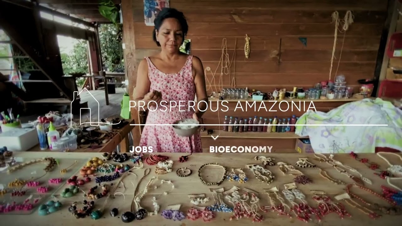 Amazonia Viva: Protecting the Forest and Empowering Its People
