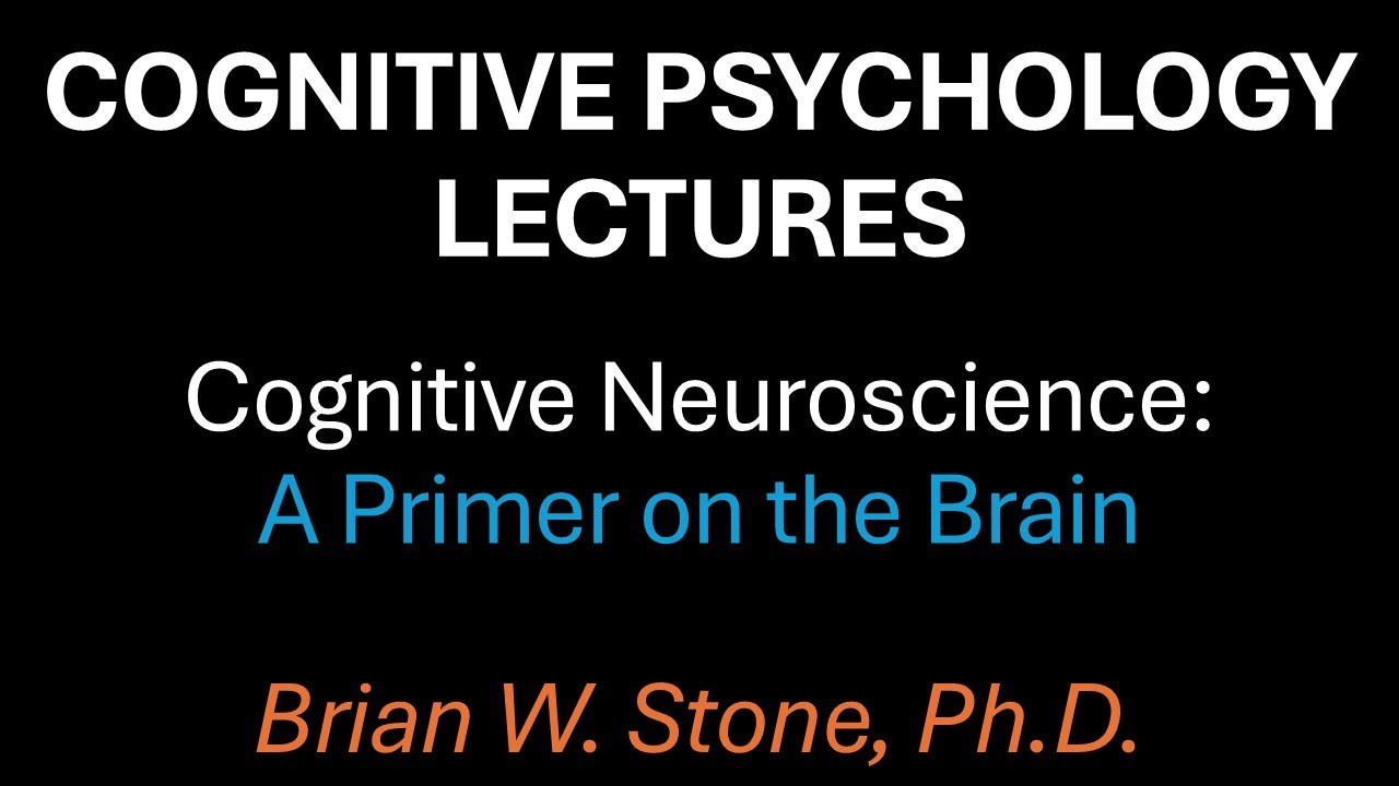 Cognitive Psychology - Cognitive Neuroscience Pt2 - A Brain Primer
