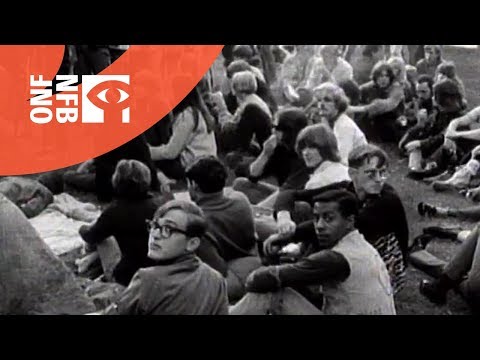 The Summer of '67