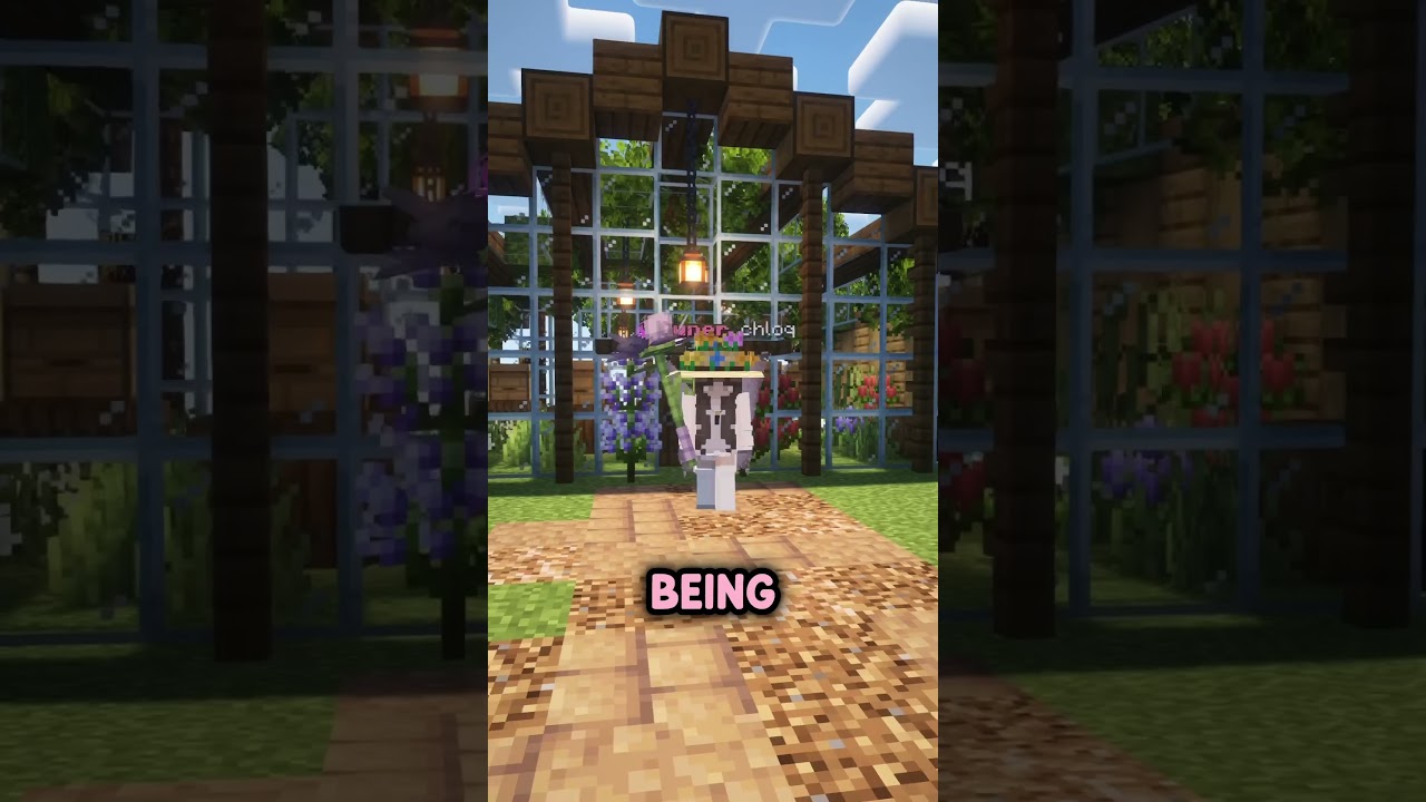 This server is perfect for those who love minecraft and the fairy aesthetic! #minecraft #smp