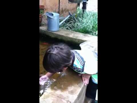 Tadpole fishing
