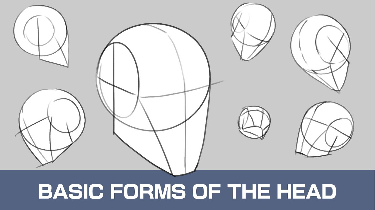 Head Drawing: Fundamental Forms