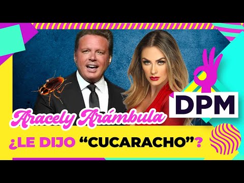 Aracely Arámbula manda indirecta muy directa a Luis Miguel tras decirle 'cucaracho'