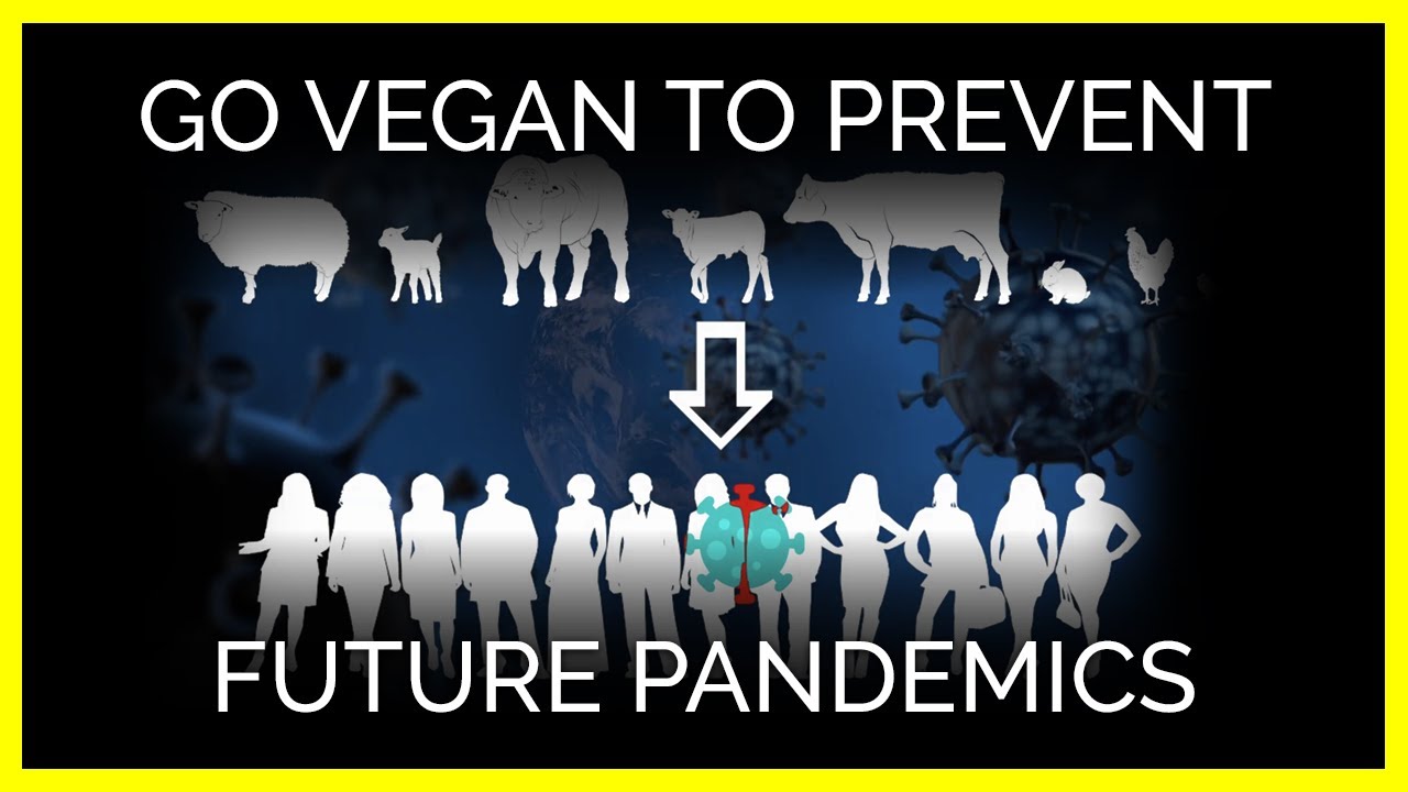Gastroenterologist Urges People to Go Vegan to Fight Future Pandemics