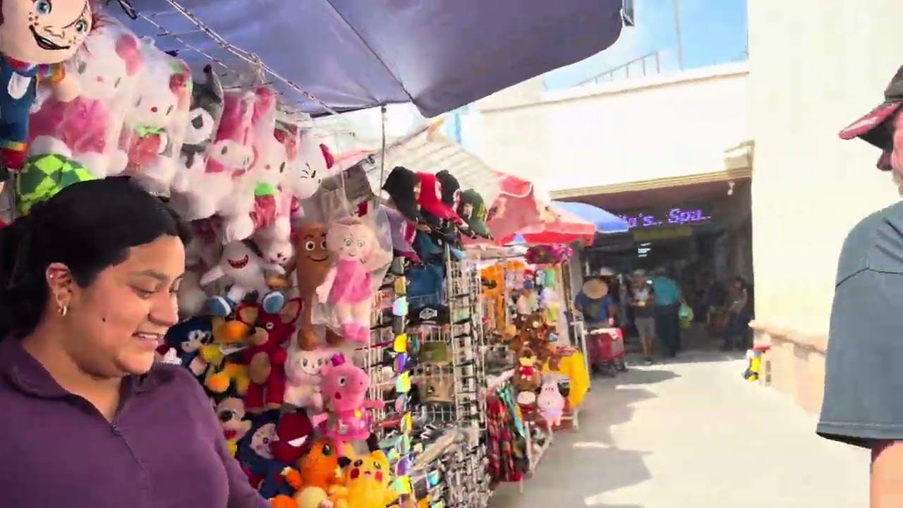 #mexico-Renu gihar Wrenn family-Pulga de Álamo, R112070, Alamo, TX 78516