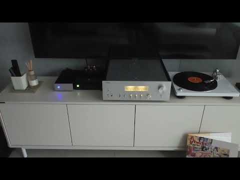 Year of the cat (Al Stewart) LP sound by Denon DP400ĂBrooklyn DACĂAmpapa A1xYamaha A-S1100xFocal K2