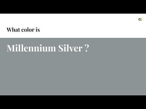 Millennium Silver color #8c9595 hex color - Blue color - Warm color 8c9595