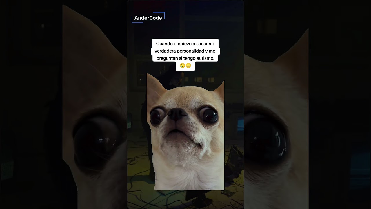 #Meme #andercode #developer #programming #python #girlfriend #humor #wife