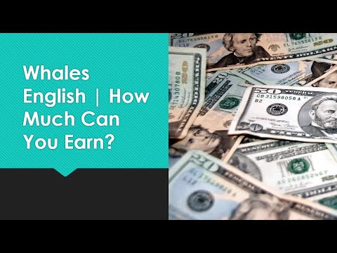 Teacher Salary | How Much Can You Earn? | Peak Time Bonus | UPDATED IN DESCRIPTION