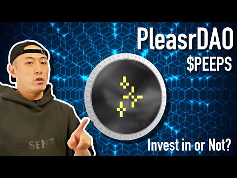 Invest in or Not? - PleasrDAO, $PEEPS - (English Subtitle)
