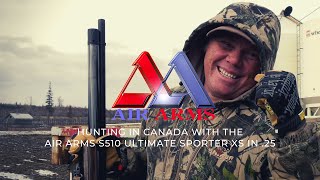 Air Arms S510 XS Ultimate Sporter | Laminate Stock | Pyramyd AIR