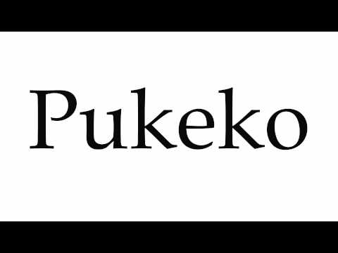 How to Pronounce Pukeko