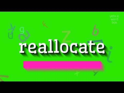 HOW TO SAY REALLOCATE? #reallocate