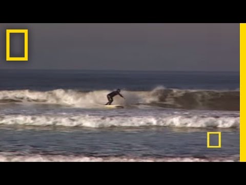 Would You Eat It? - Bugs | National Geographic