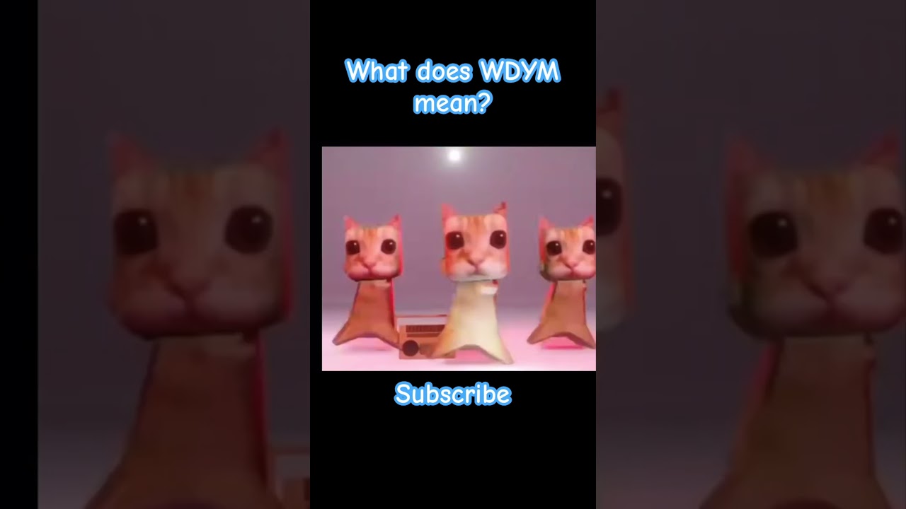 What does WDYM mean? #viral