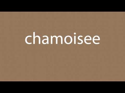 How to pronounce chamoisee [all colours]
