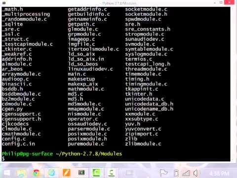 CPython Internals Series – Blog about Random things, R and Raku