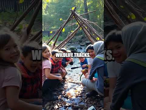 Essential Skills for Nature Survival Education
