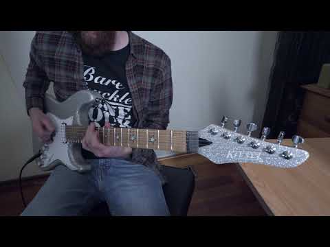 Kiesel Delos 2021 - Silver Sparkle | Reverb