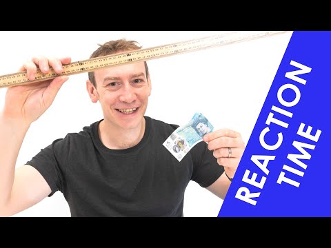 Measuring Reaction Time - PRACTICAL - GCSE Physics Experiment