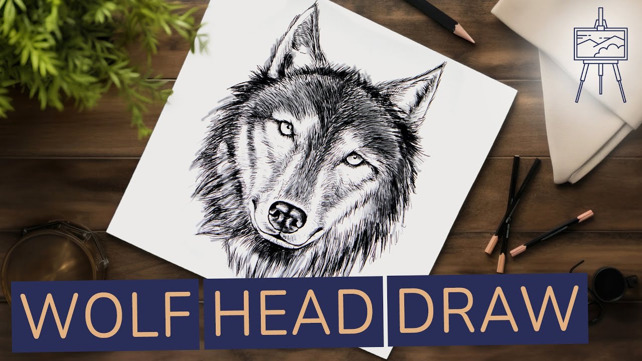 How to Draw a Wolf Head Step-by-Step [Drawing Guide]