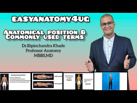 anatomical position of human body and other terms